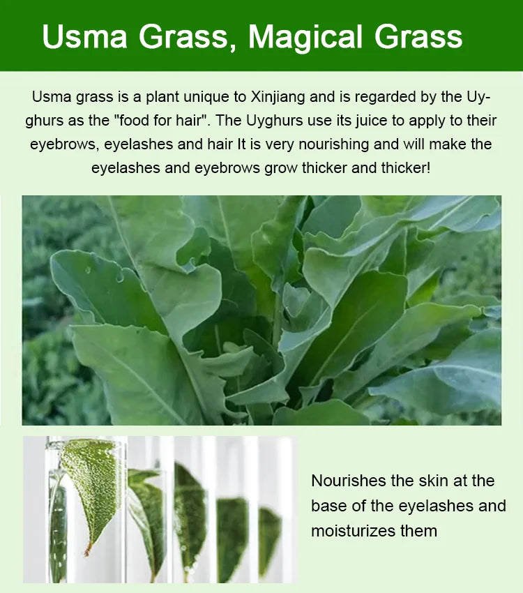 [Helping Eyelash Growth] Plant Essence Usma Grass Lengthening and Curl ...