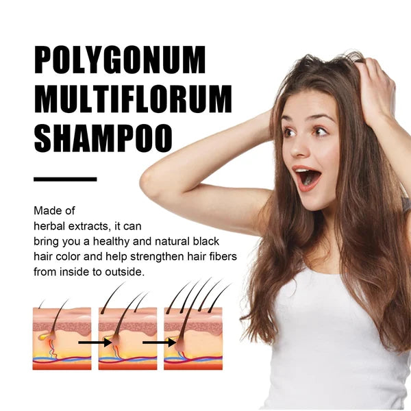 Polygonum Multiflorum Shampoo – Beautykomi