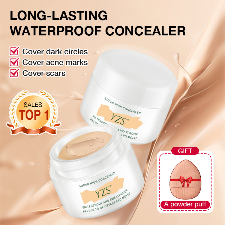 YZS LONG LASTING WATERPROOF CONCEALER – Beautykomi