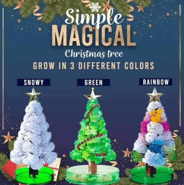 Magic Growing Christmas Tree – Beautykomi