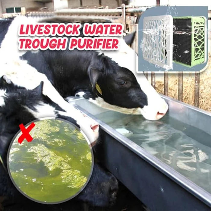 🔥LAST DAY 48% OFF 🔥 Livestock Water Trough Purifier – Beautykomi